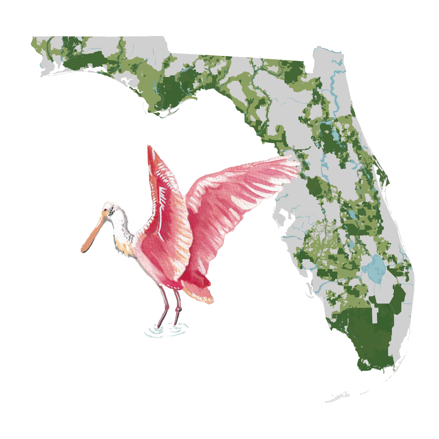 Corridor Connect Ecosystem | Corridor Connect